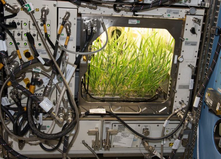 The impact of space agriculture on terrestrial farming applications ...