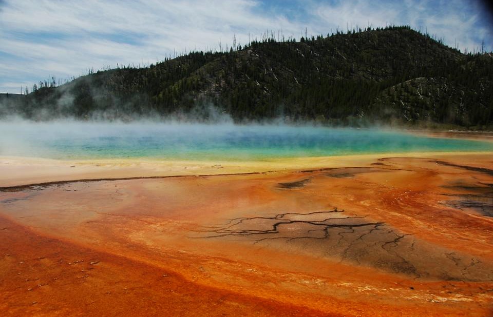 Extremophiles: defining the physical limits at which life can exist ...