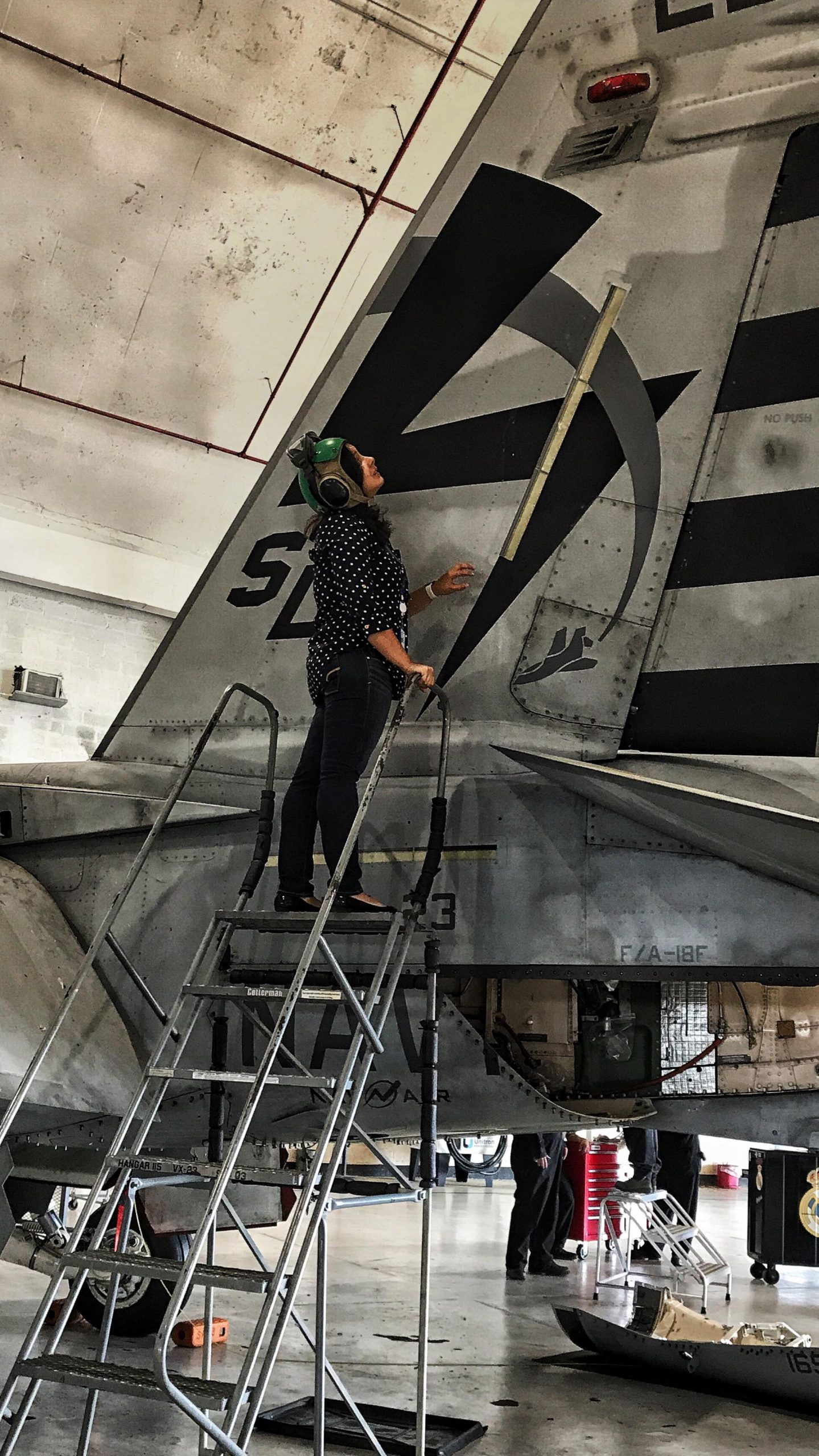 A Planetary Defender - Blue Marble Space Institute of Science