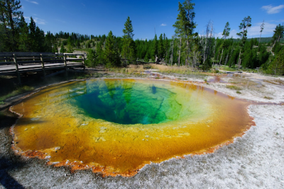 The Thermophilic Microbes of Yellowstone - Blue Marble Space