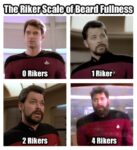 Beard-Seconds, Barns, and Other Unusual Units of Measurement - Blue ...